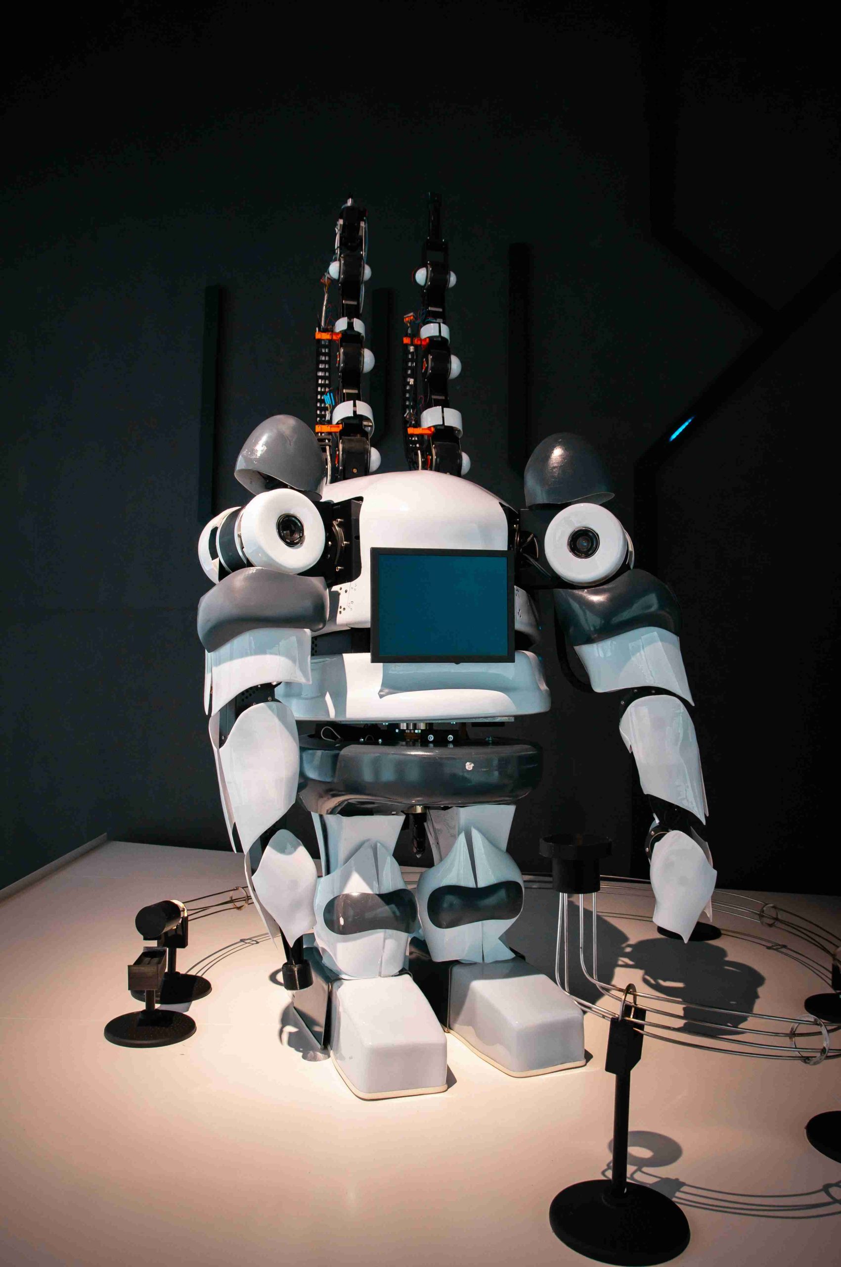 Polyfunctional Robots , Pioneering the Future